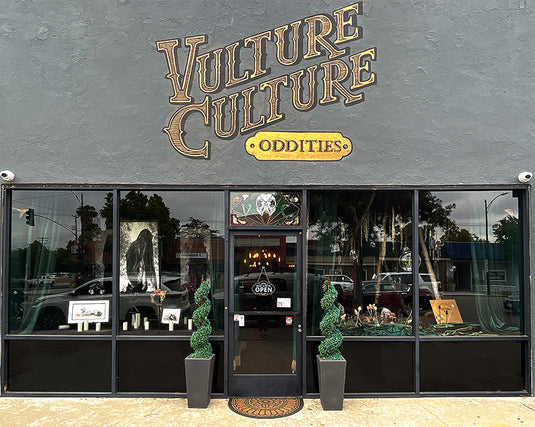 About – Vulture Culture Oddities